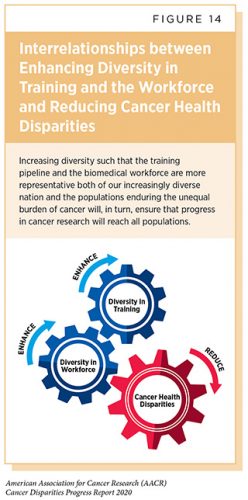Diversity in Cancer Workforce | AACR Cancer Disparities Progress Report ...