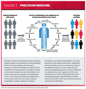 Understanding Cancer Development | AACR Cancer Progress Report 2020