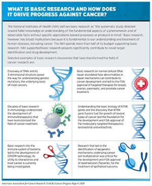 Understanding Cancer Development | AACR Cancer Progress Report 2020
