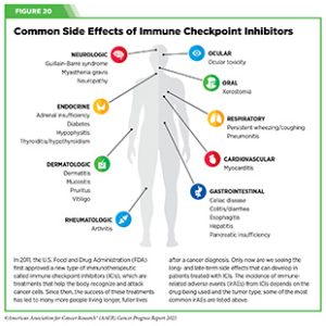Immunotherapy: Pushing the Frontier of Cancer Medicine | AACR Cancer ...