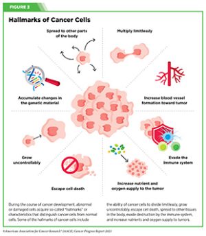 Understanding Cancer Development | AACR Cancer Progress Report 2023