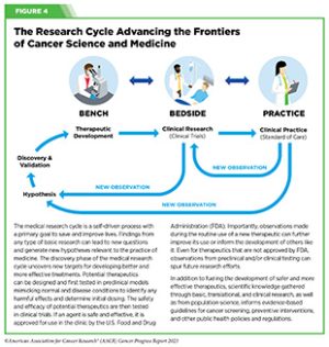 Understanding Cancer Development | AACR Cancer Progress Report 2023