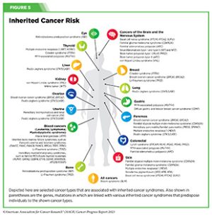 Envisioning the Future of Cancer Science | AACR Cancer Progress Report 2023